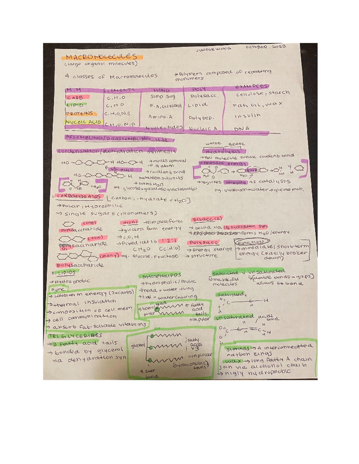 Macromolecules - Studocu