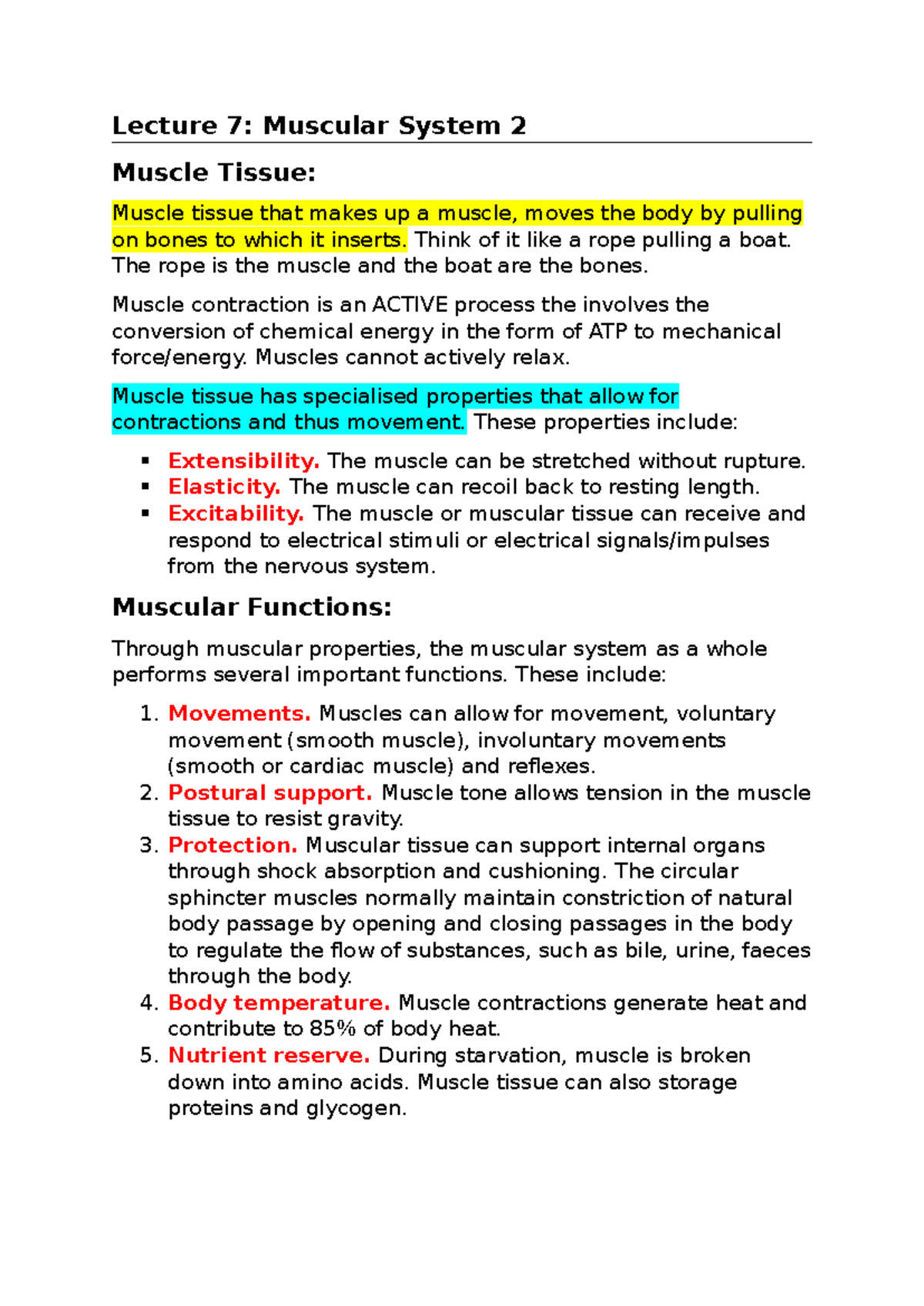 Lecture 7 Muscular System 2 - Lecture 7: Muscular System 2 Muscle ...