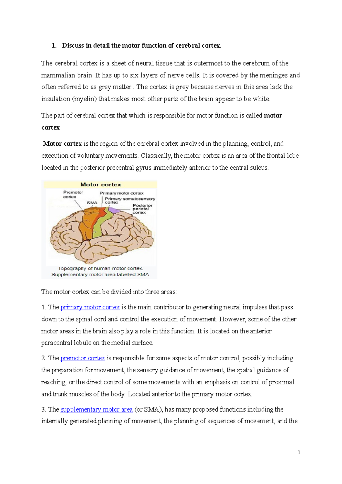Phsiology CNS - physiology assignment about central nervous system - 1 ...