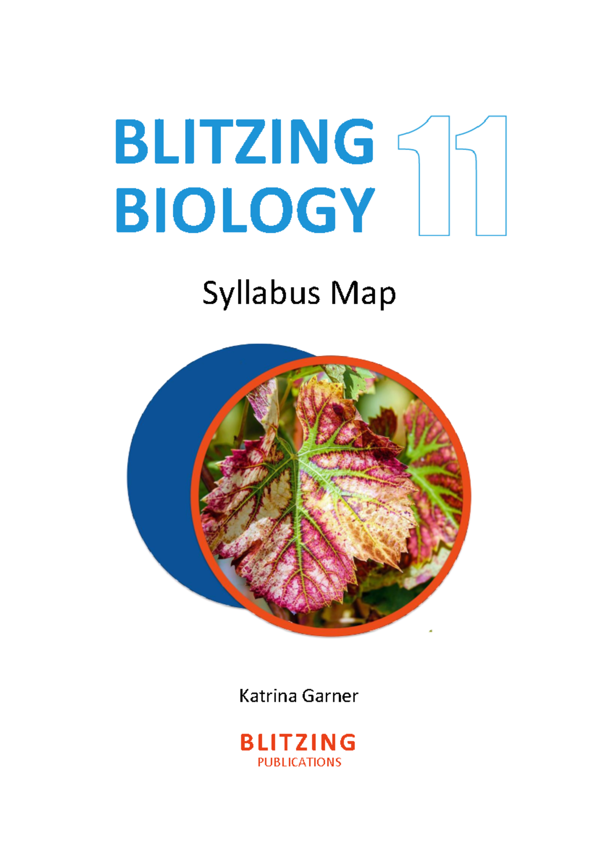 bb-11-syllabus-map-ometimes-forget-that-there-are-challenged