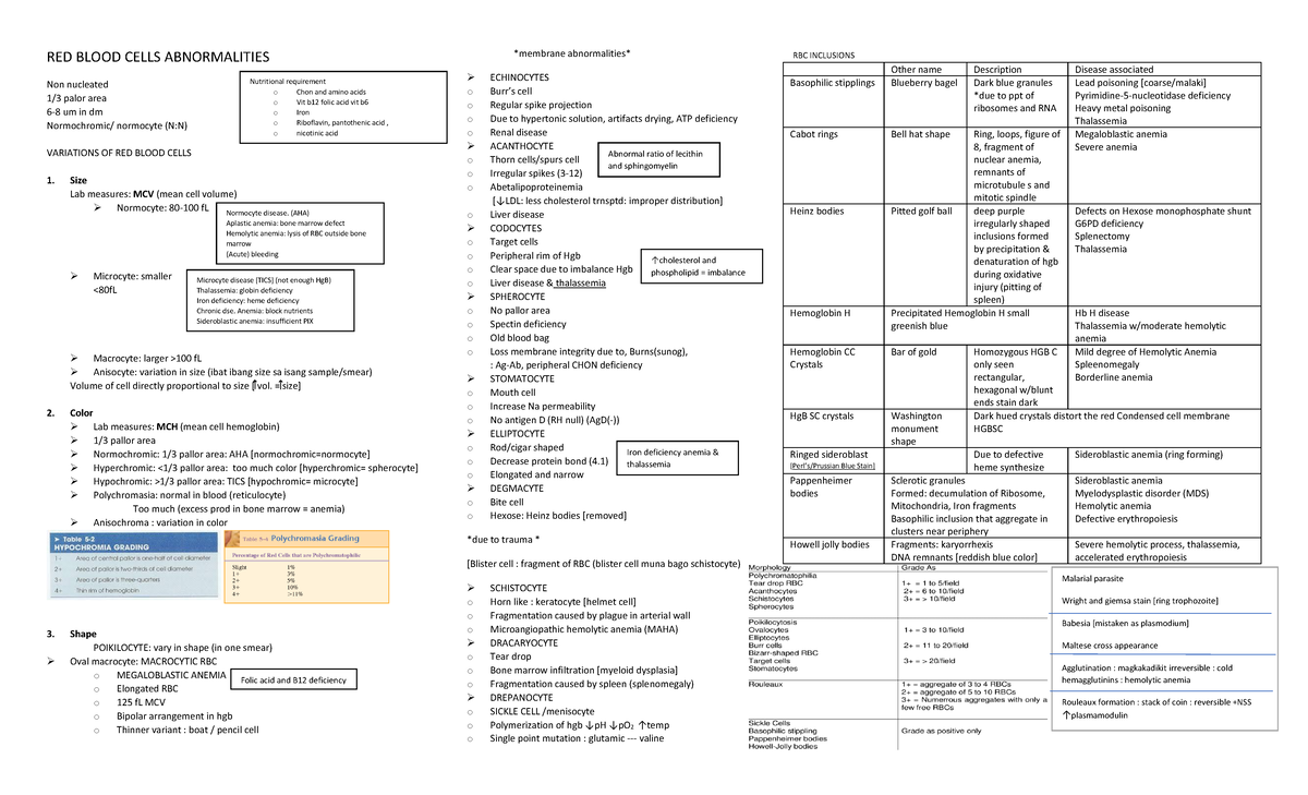 RED Blood Cells Abnormalities - RED BLOOD CELLS ABNORMALITIES RBC ...