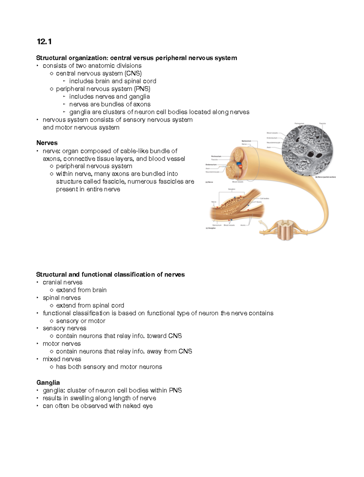 Ch 12 nervous system reading notes X - Structural organization: central ...