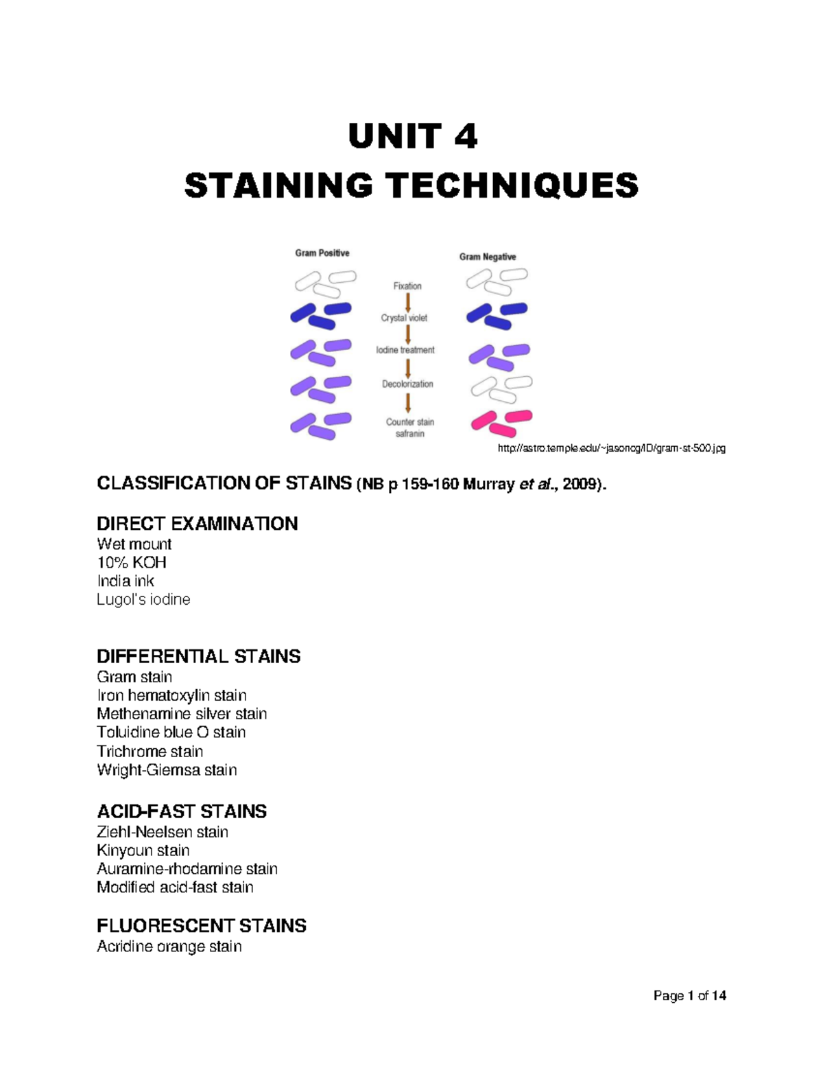 UNIT 4 Staining Techniques - UNIT 4 STAINING TECHNIQUES astro.temple ...