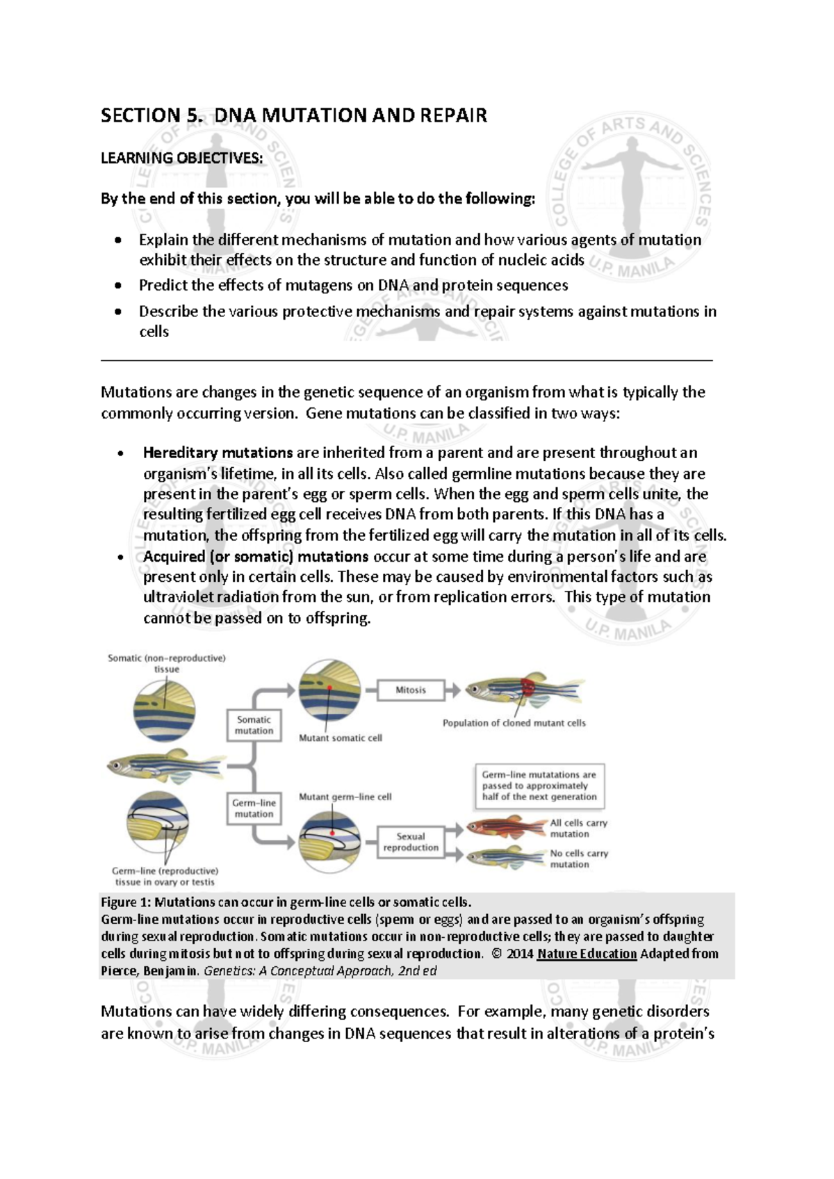 DNA Mutation AND Repair - SECTION 5. DNA MUTATION AND REPAIR LEARNING ...