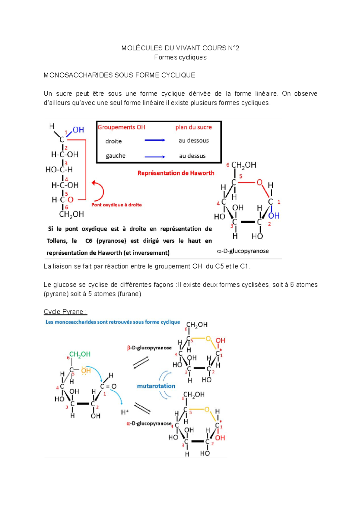 CM2, molécules du vivant 2 - MOLÉCULES DU VIVANT COURS N° Formes ...