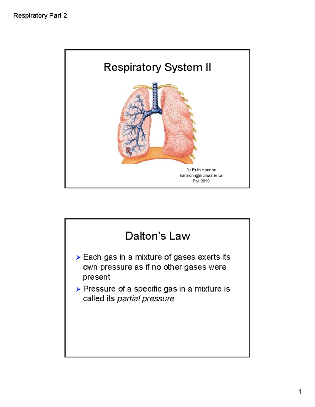 2019 Respiratory System II Handout-2 - Respiratory System II Dr Ruth ...