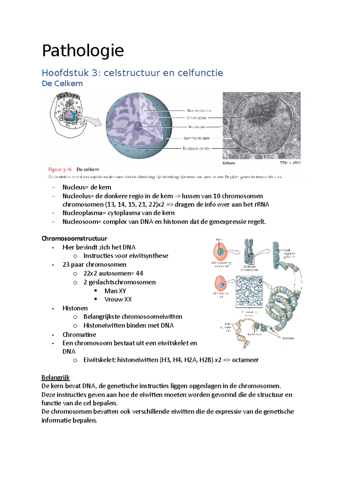 Pathologie: celstructuur en celfunctie - Pathologie Hoofdstuk 3 ...