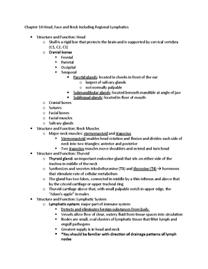 Eye, Ears, Nose, Mouth, and Throat Scripts - NR302 Eyes, Ears, Nose ...