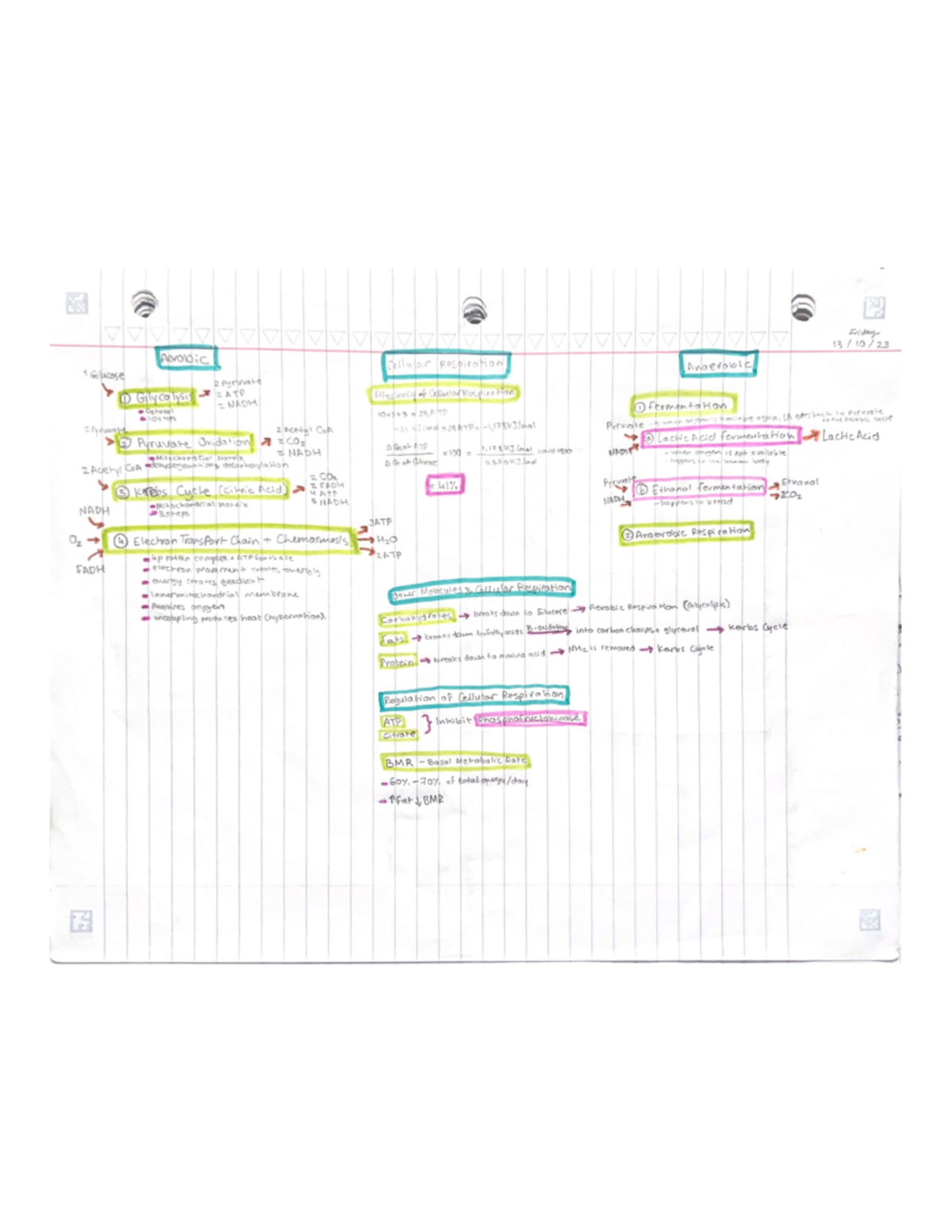 SBI4U notes - Studocu