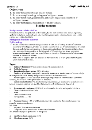 Bladder - Bladder Objectives: 1. To revise briefly the anatomy ...