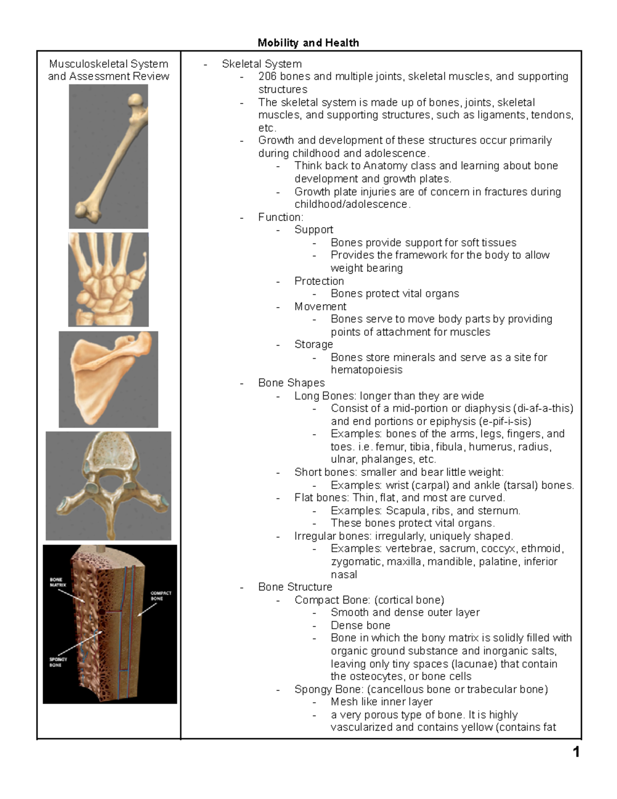 Nur 211 - Unit 2 - Mobility and Health Musculoskeletal System and ...