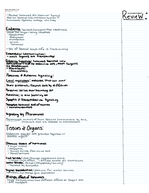 Viruses - exam 3 - Biological Diversity - Viruses - Prokaryotes ...