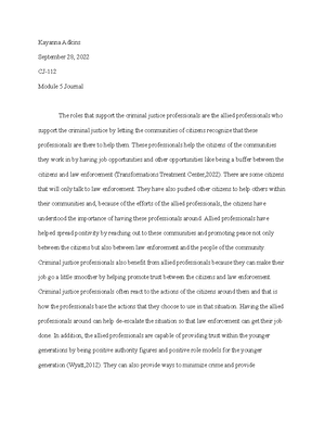 CJ 112 Project Two Template - How the Criminal Justice System Works in ...