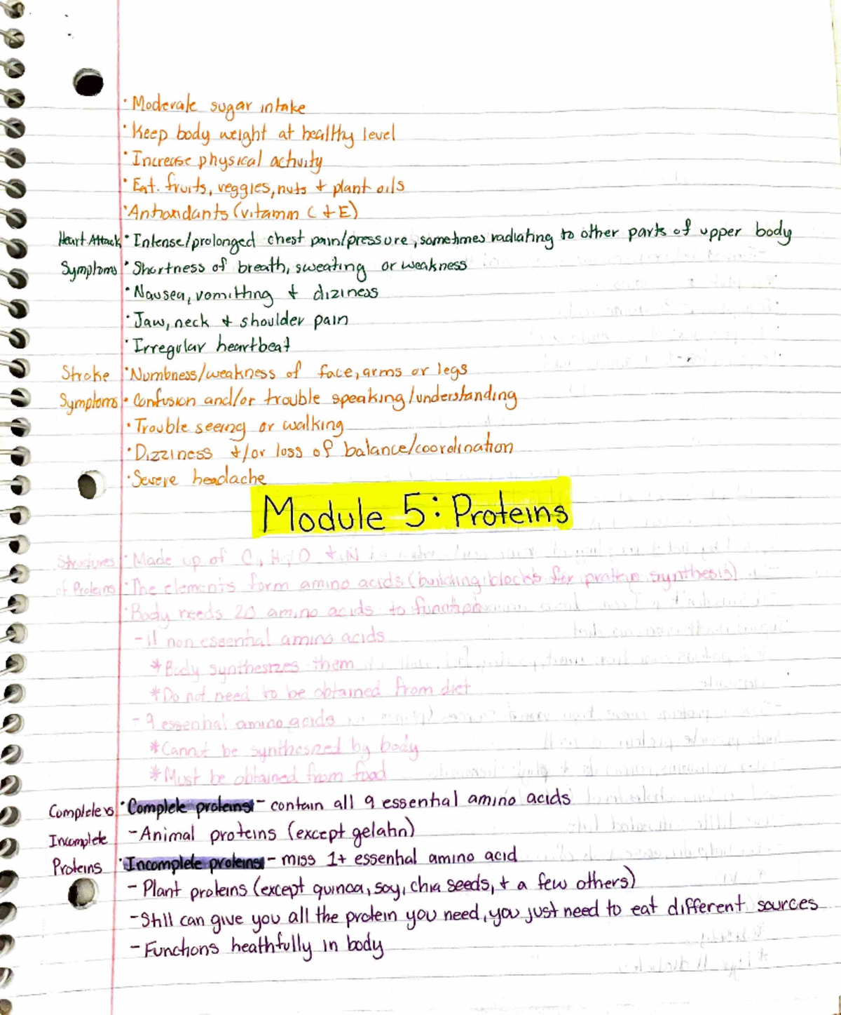 Module 5 - Jeff - FND 250 - Studocu