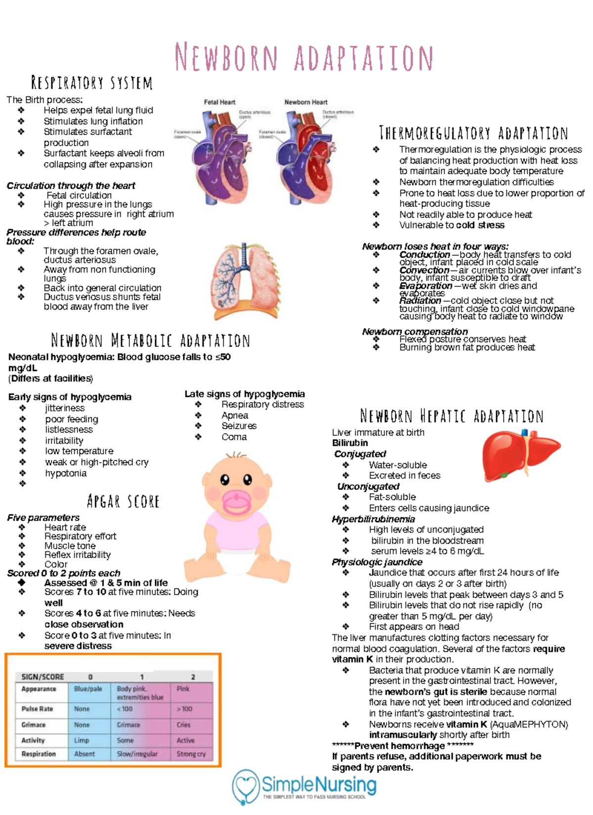 Newborn Adaptation - Simple Nursing Notes - Integrated Praxis ...
