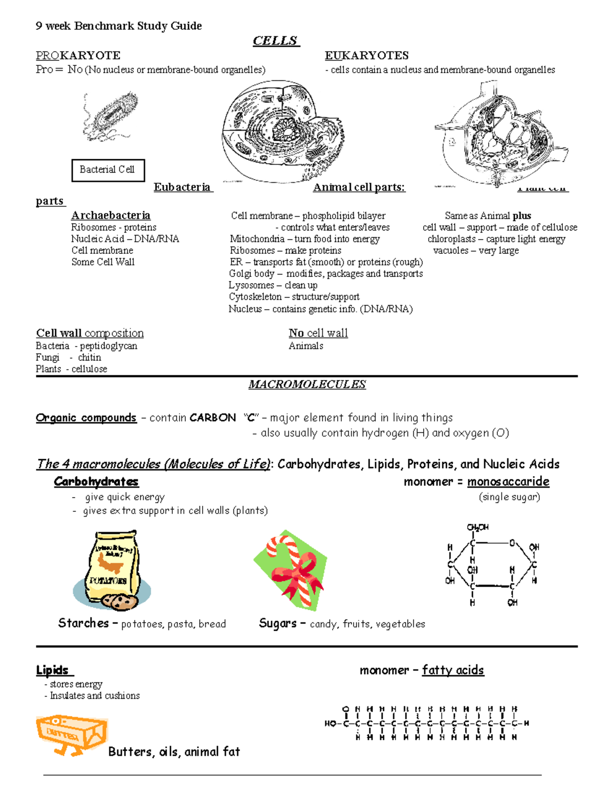 9 wk BM SG Notes Sp14 - 9 week Benchmark Study Guide CELLS PROKARYOTE ...
