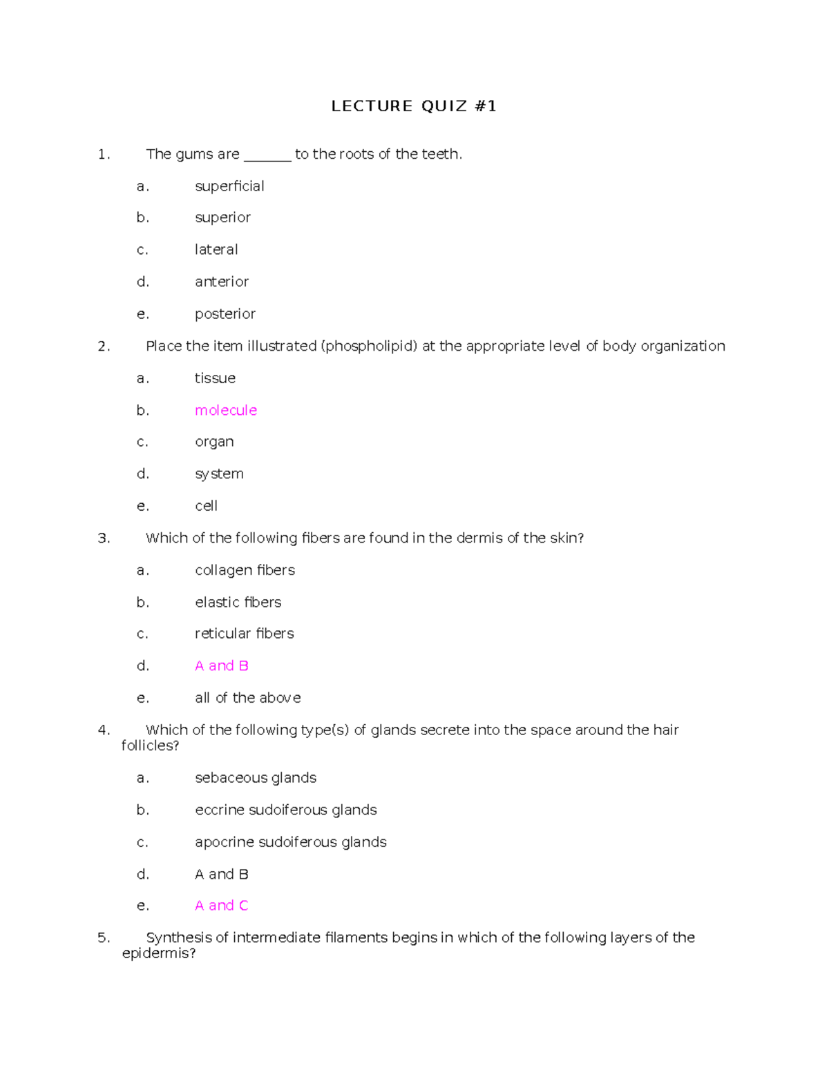 Lecture Quiz 1 - LECTURE QUIZ #1 1. 2. 3. 4. 5. The gums are _______ to ...