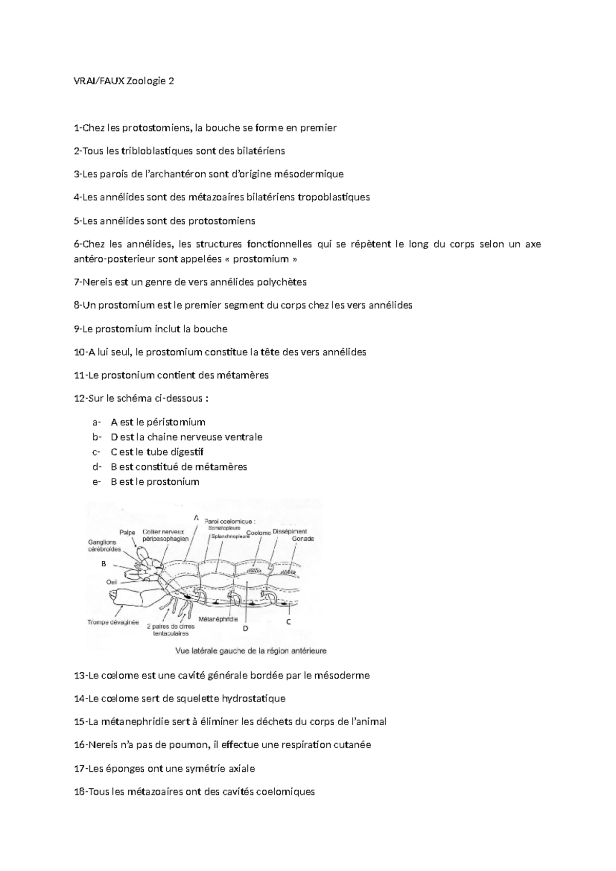 Vraifaux Zoologie 2 - questions d'entrainement - VRAI/FAUX Zoologie 2 1 ...