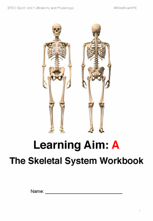 Btec-sport-revision-guide-skeletal-system-2019 - NAME: BTEC Revision ...