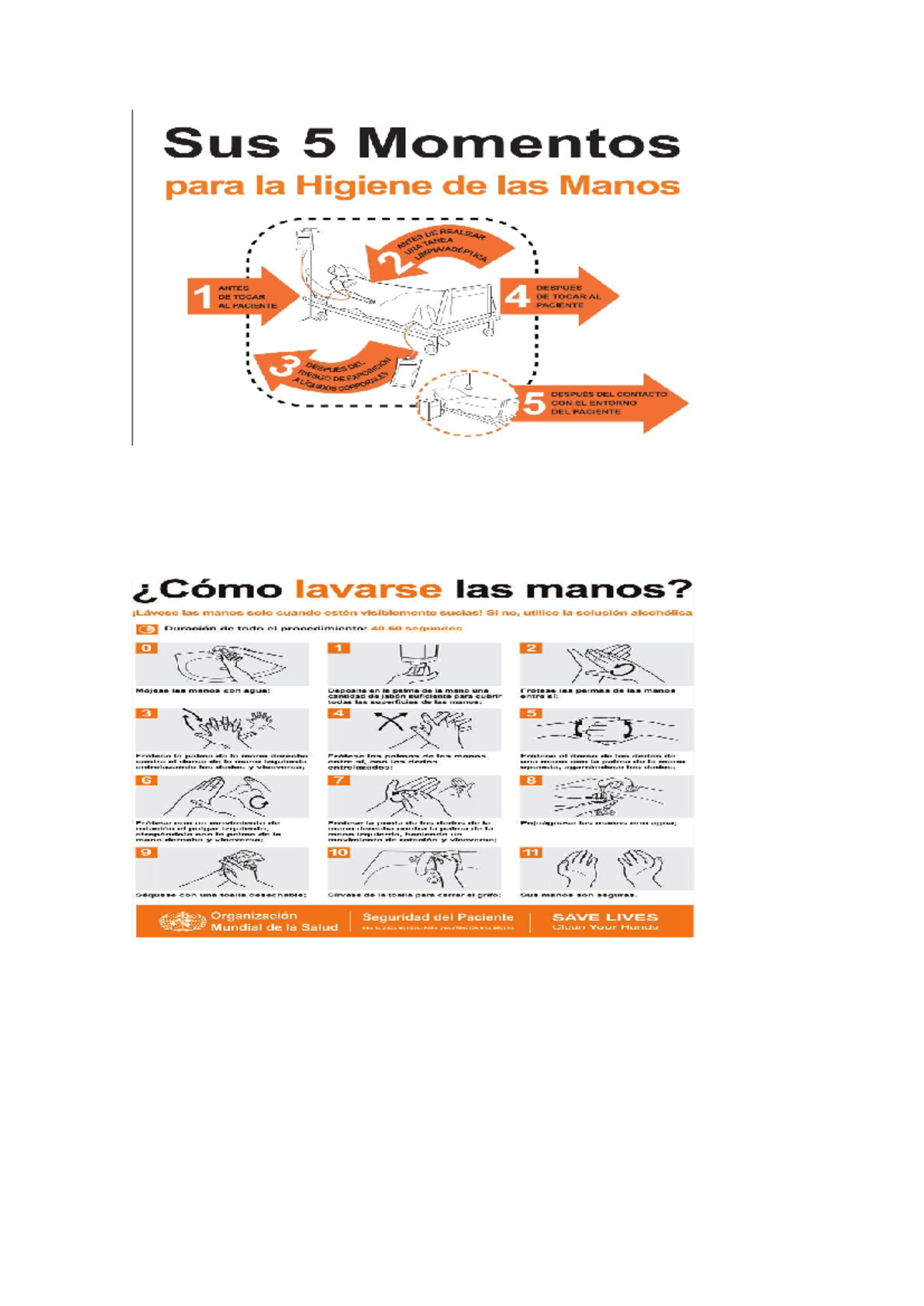 Lavado de manos - Sus 5 Momentos para la Higiene de las Manos DE ANTES ...