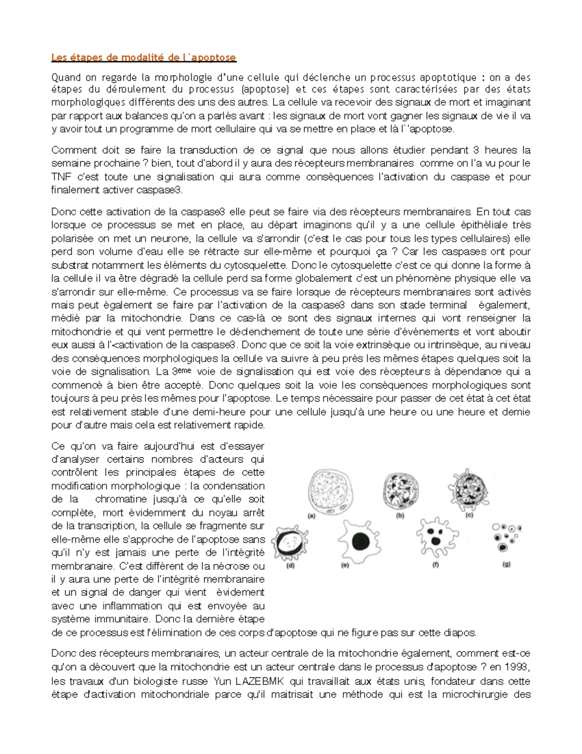 Mort cellulaire 2 - Les étapes de modalité de l`apoptose Quand on ...
