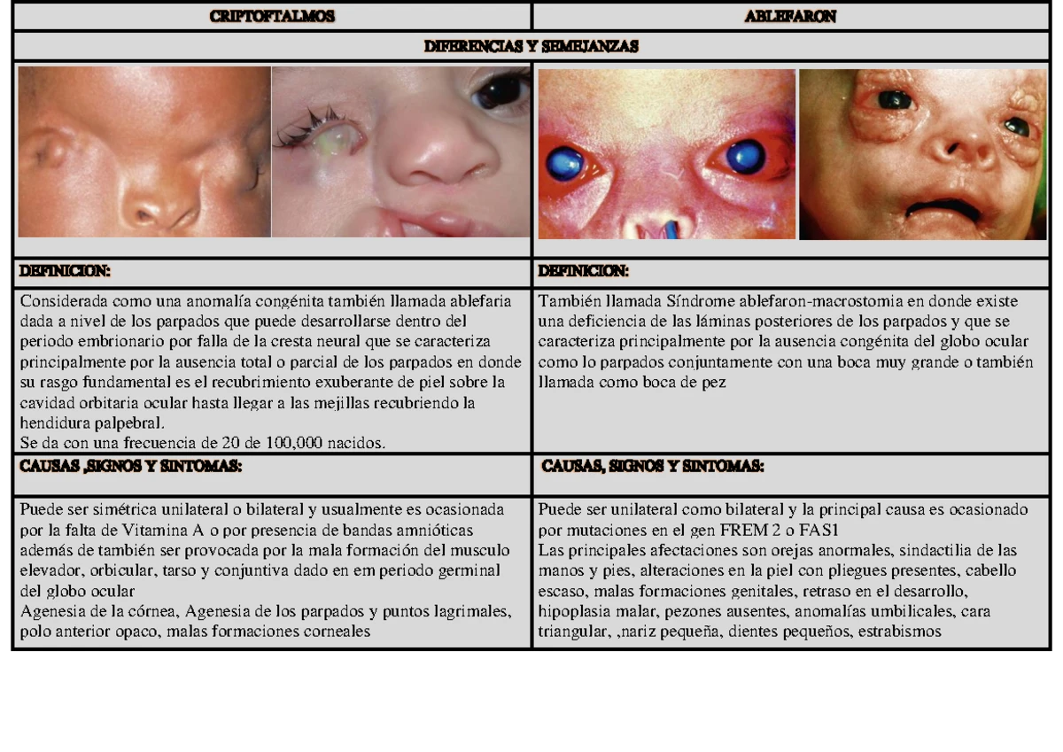 Studocu - Resúmenes, apuntes y preparación de exámenes gratis