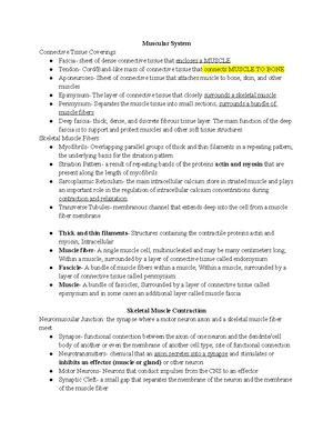 Anatomy lab practicum study guide - ####### tissues ...