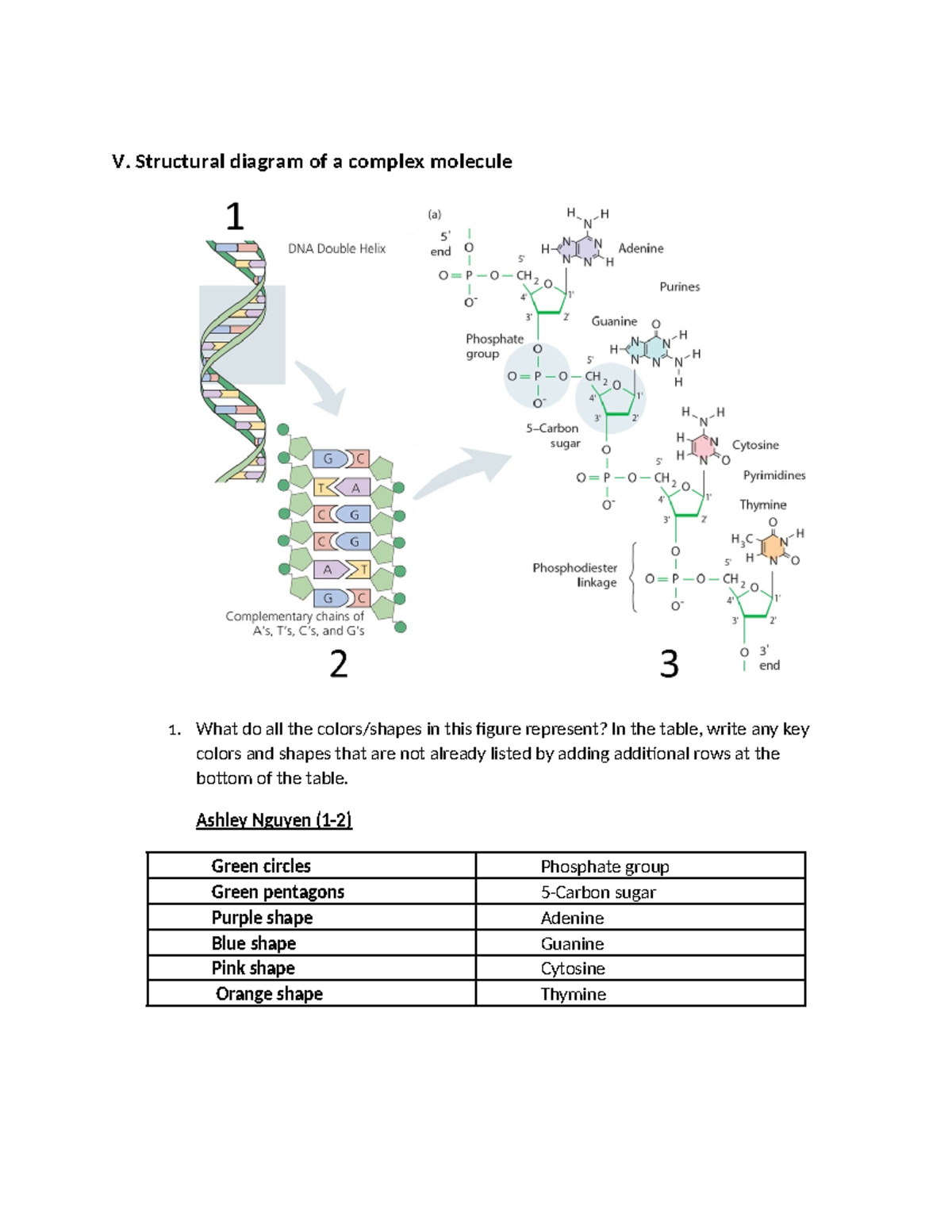 Intervention #1 - I got full 5/5 - V. Structural diagram of a complex ...