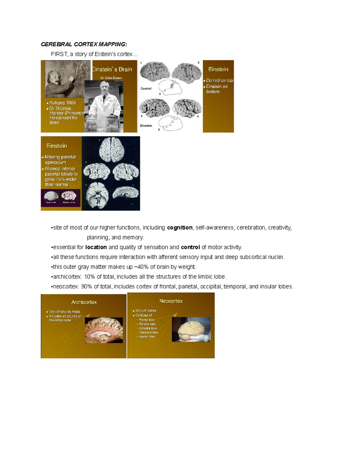 Cerebral Cortex Mapping - CEREBRAL CORTEX MAPPING: FIRST, a story of ...