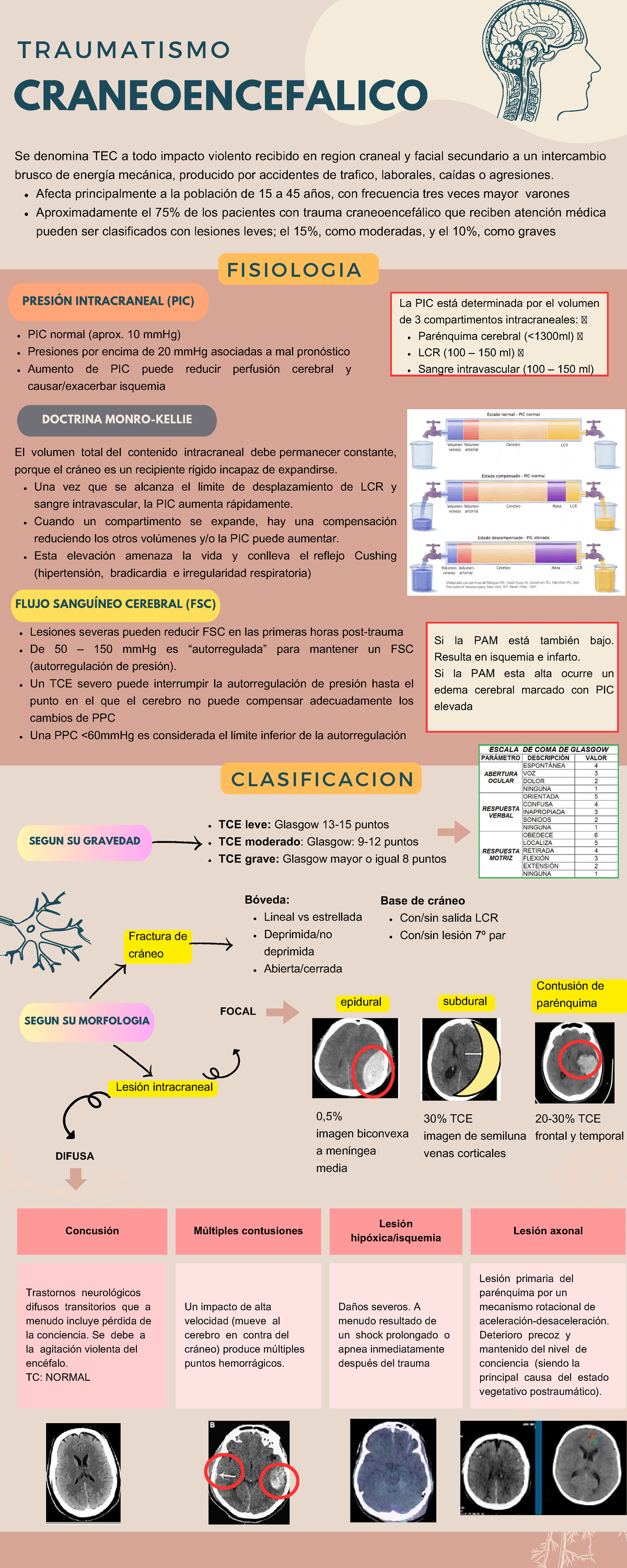 Infografia de TEC - trauma craneoencefalico - SEGUN SU GRAVEDAD SEGUN ...