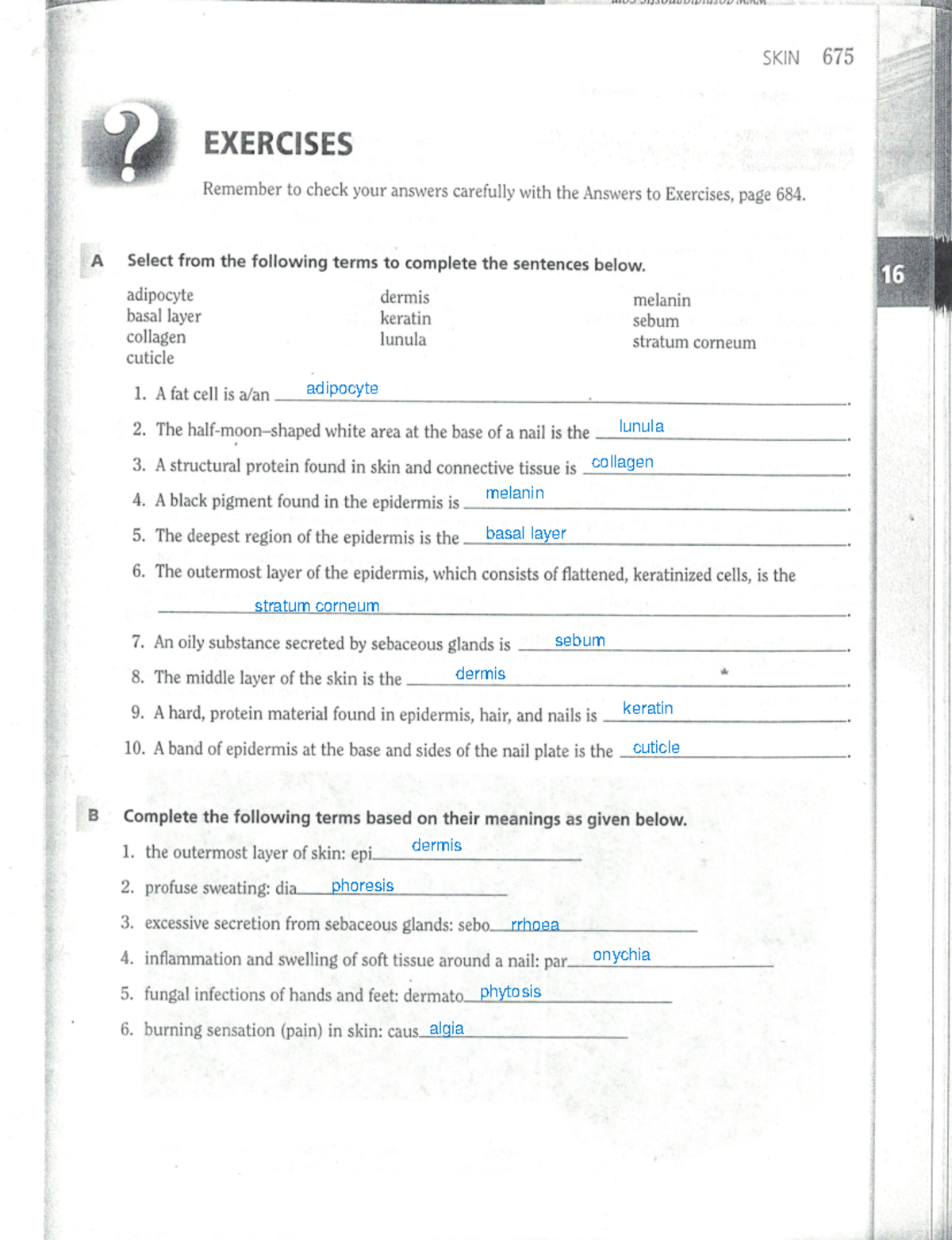 Skin homework answers - fill out sheets for babayan - GSBN 540 - Studocu