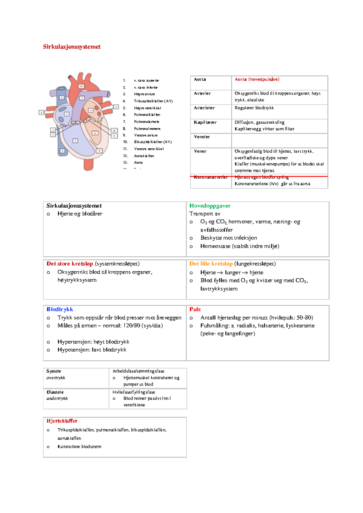Sirkulasjonssystemet sammendrag - Sirkulasjonssystemet Aorta Aorta (hovedpulsåre) Arterier - Studocu