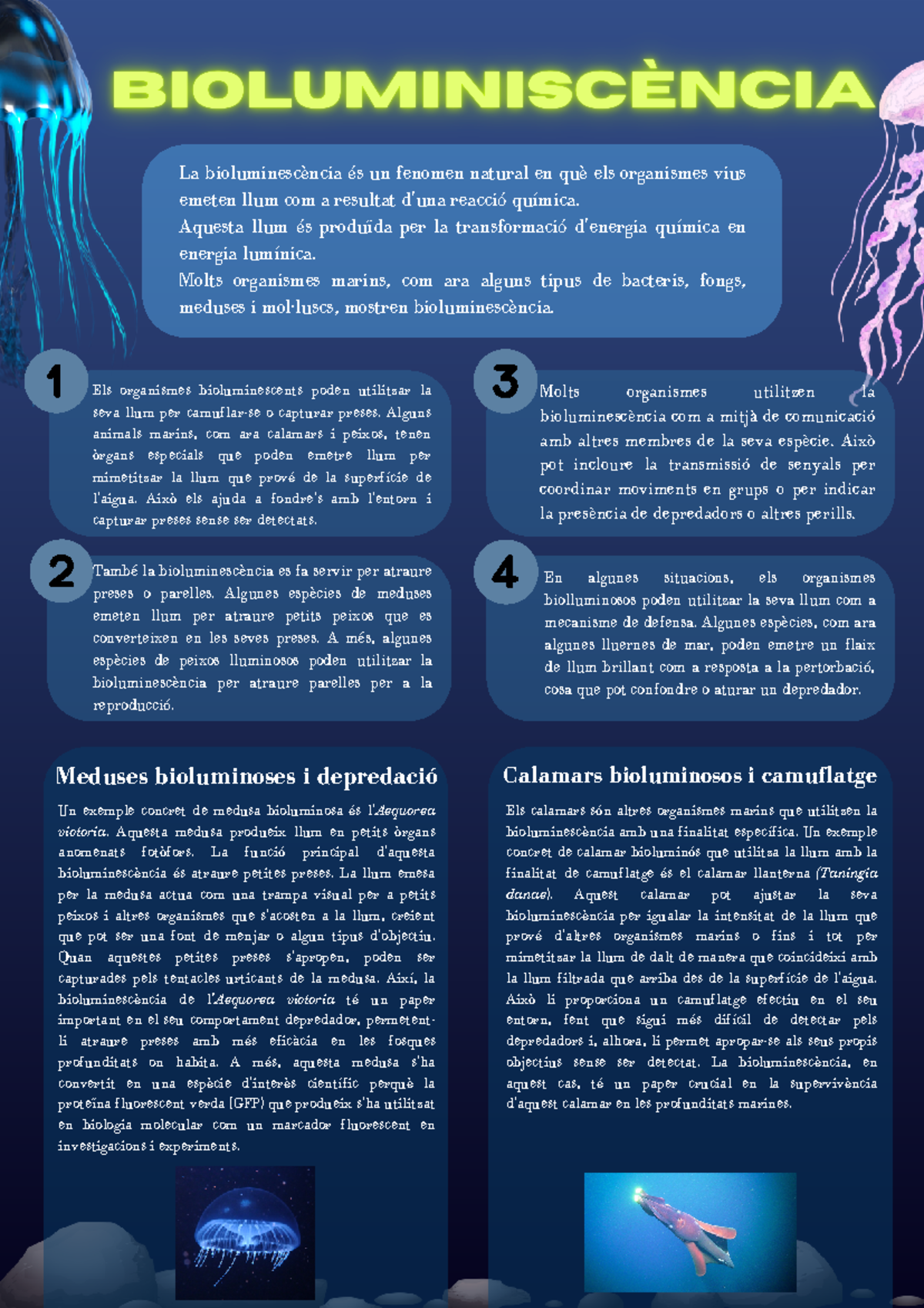 Bioluminiscència - La bioluminescència és un fenomen natural en què els ...