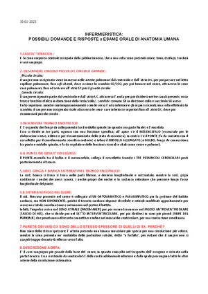 Anatomia - Schemi - o craniale o ROSTRALE o assiale o ventrale o ...