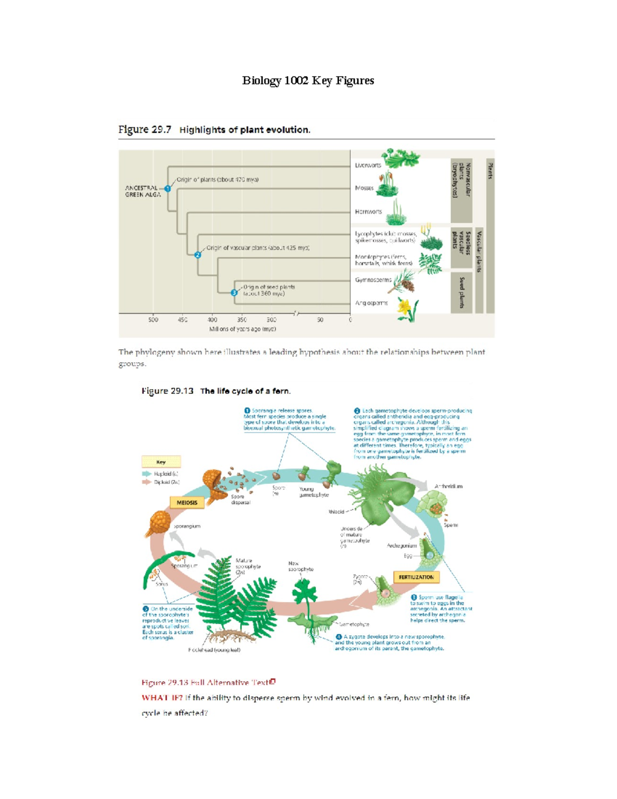 Biology 1002 Key Figures - MKTG-1000 - Biology 1002 Key Figures - Studocu