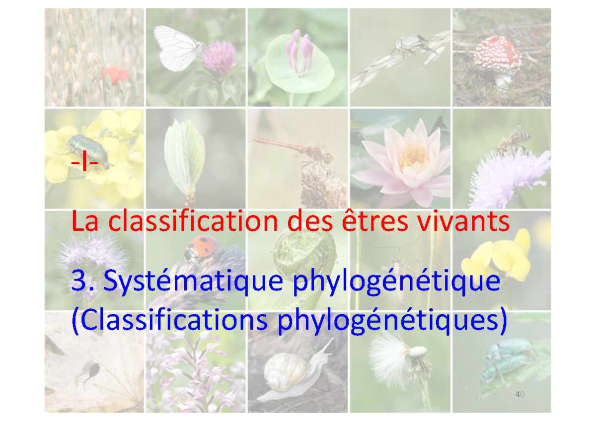 BV Cours N°2 - 40 -I- La classification des êtres vivants 3 ...