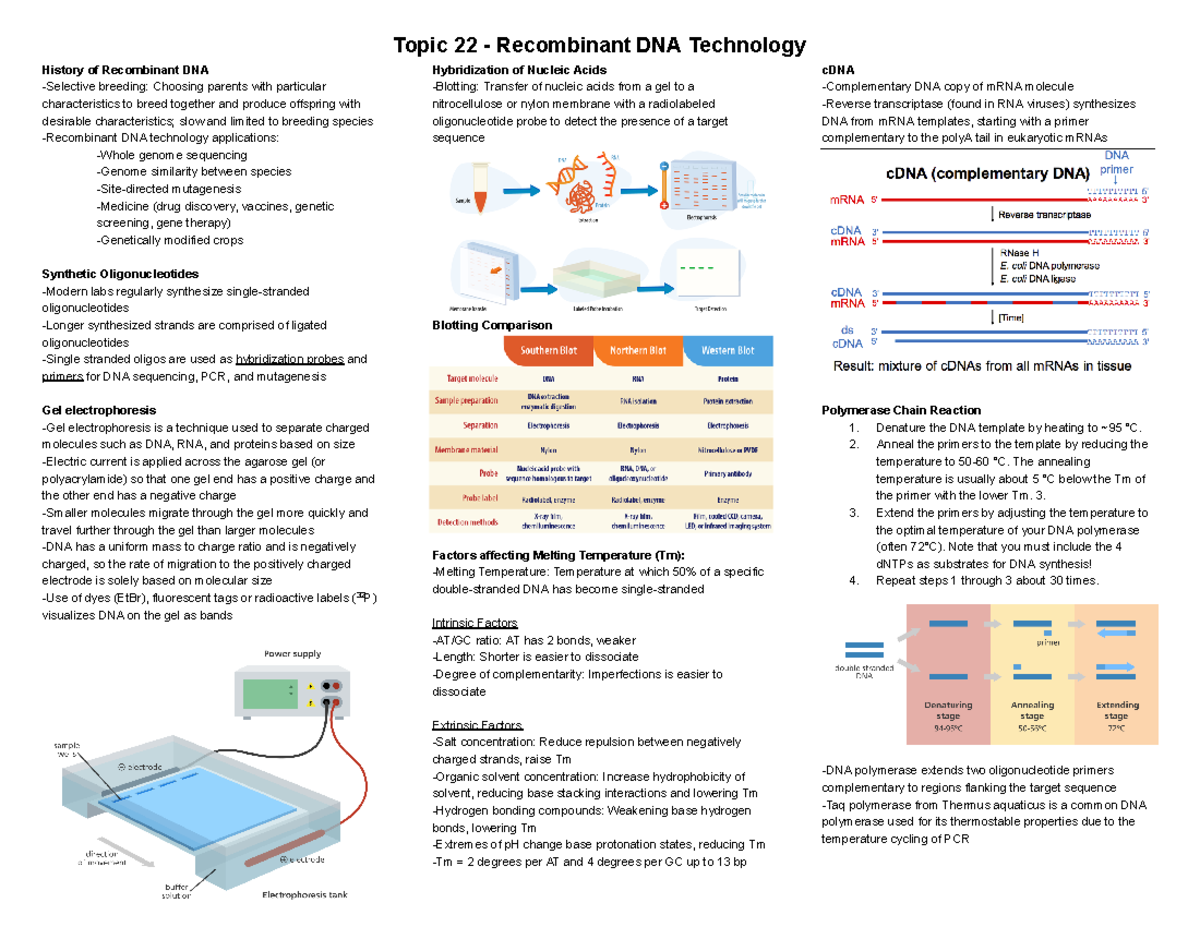 Biochem Cheat Sheet 22 - Topic 22 - Recombinant DNA Technology History ...