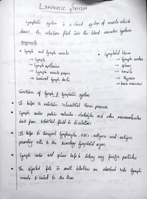 Dd. Muscular System Anatomy - Biol 2401: Anatomy & Physiology I ...