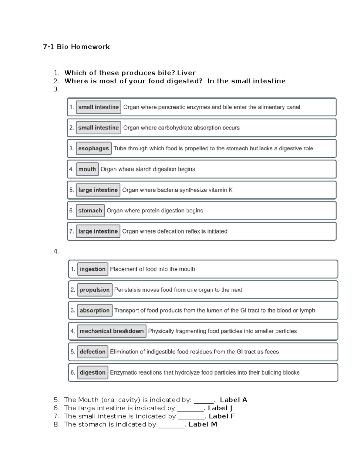 7-1 Mastering A and P Lab Module Seven Homework - 7-1 Bio Homework 1. Which of these produces ...