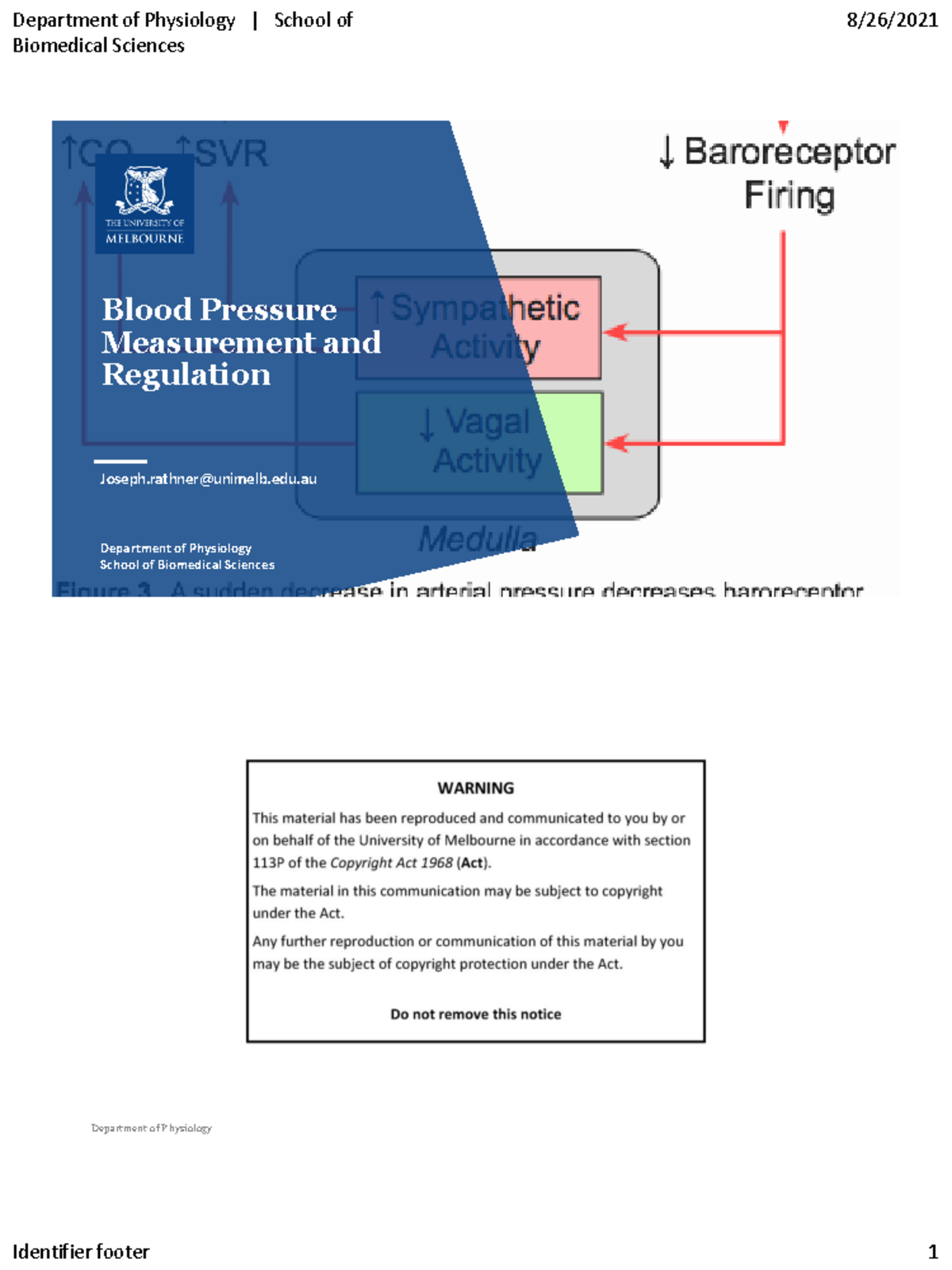 Blood Pressure Measurement and Regulation Student Handout - Biomedical ...