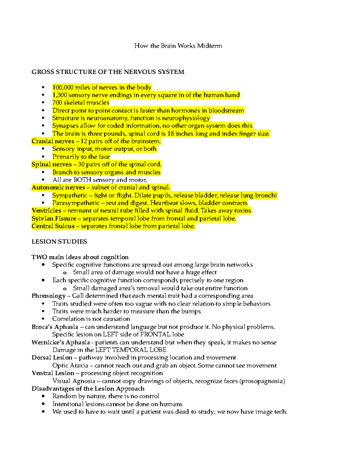 How the Brain Works Study Guide - How the Brain Works Midterm GROSS ...