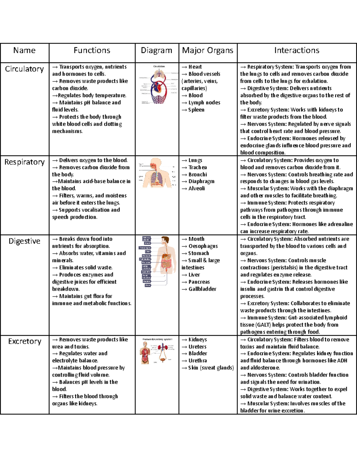The Human Body Systems - Name Functions Diagram Major Organs ...