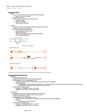 F17 Nervous Tissue -Glia Worksheet - Human Anatomy 328 Spring 2017 ...
