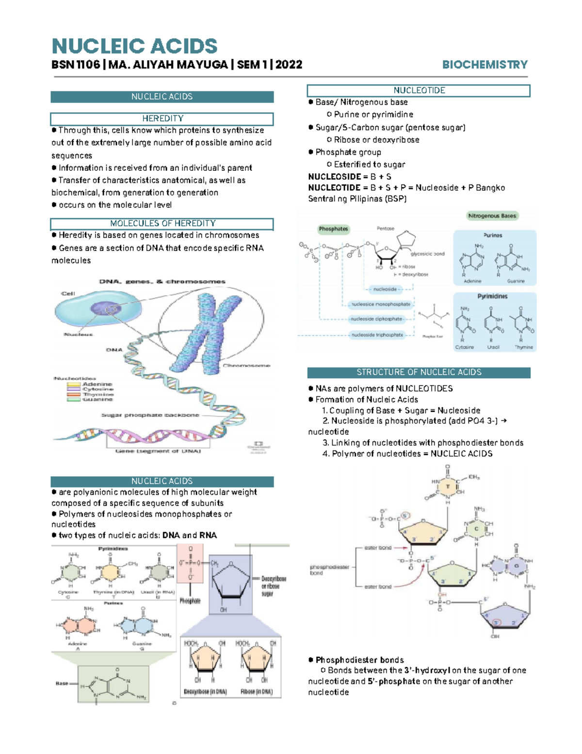 Nucleic acids - transes - BSN 1106 | MA. ALIYAH MAYUGA | SEM 1 | 2022 ...