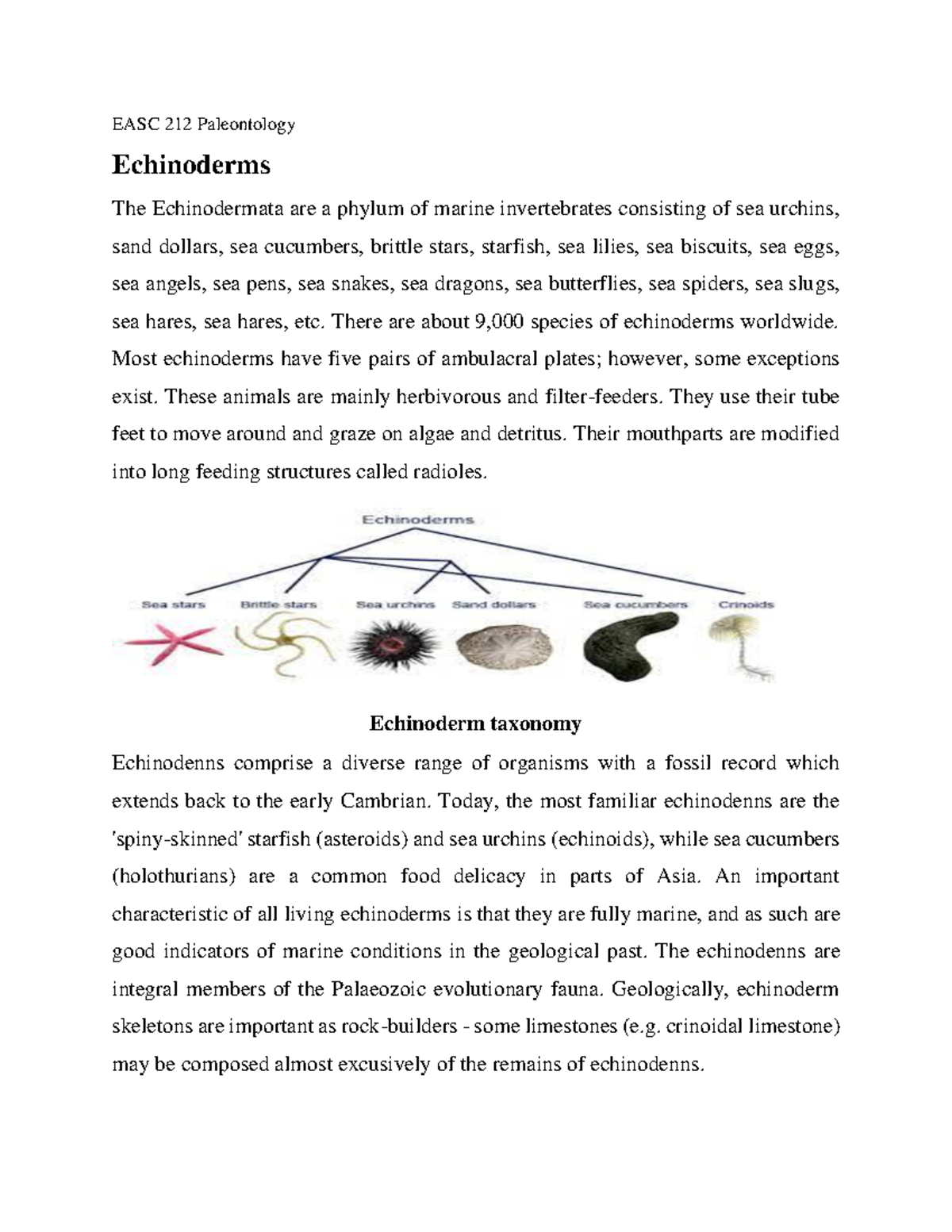 Echinoderms notes - EASC 212 Paleontology Echinoderms The Echinodermata ...