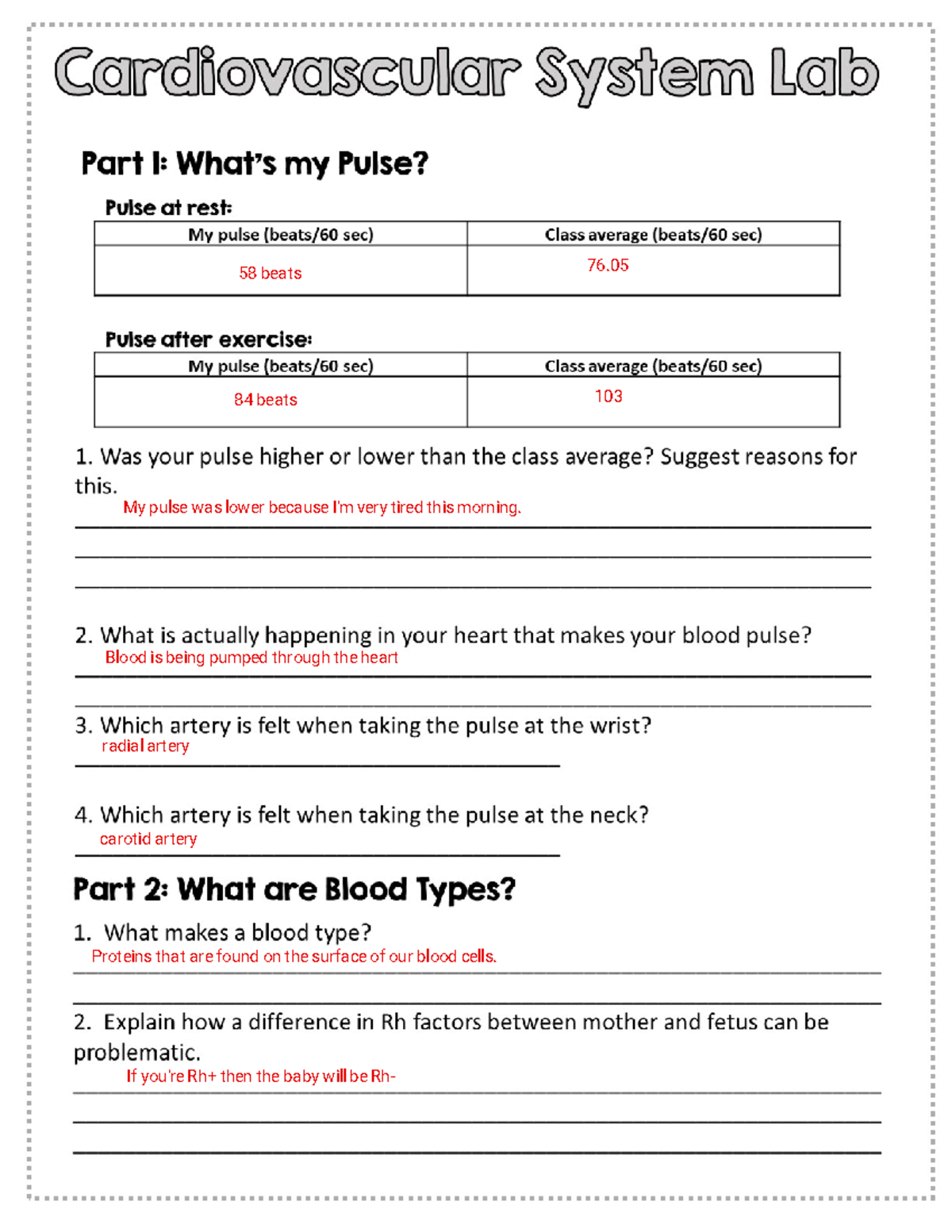Kami Export - Brekyn Knowles - Cardiovascular System Practice - anatomy ...