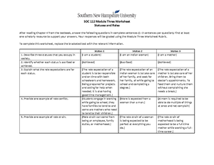 Success strategies 6-1 - SNHU 107 Module Six Activity Template Complete ...