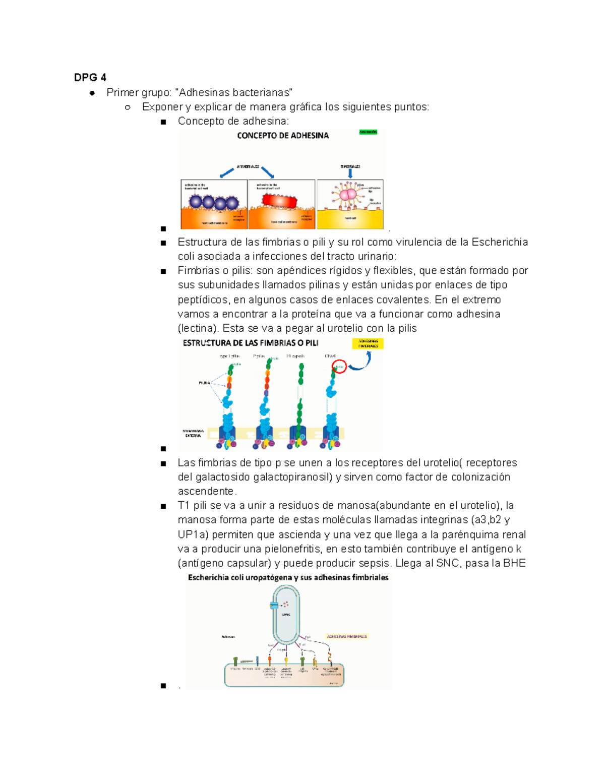 apuntes de DPG 4 agresión y defensa 2021 - DPG 4 Primer grupo ...