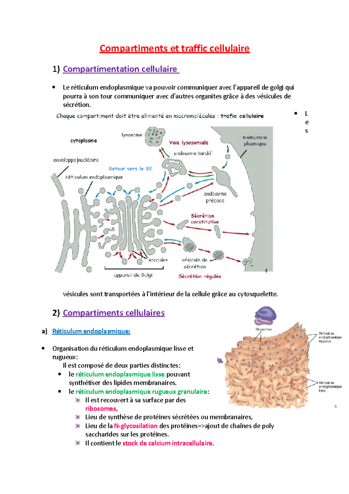 Cours 5 - Compartiments et traffic cellulaire 1) Compartimentation ...