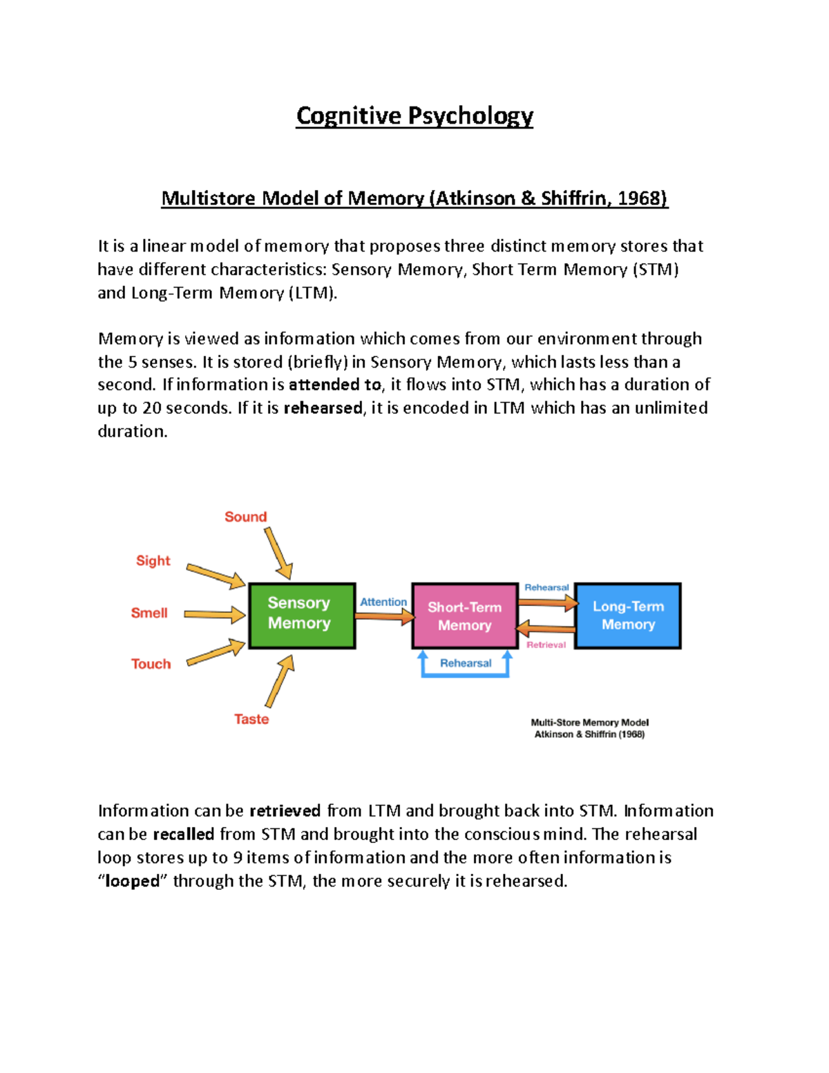 Cognitive Psychology - short notes - Cognitive Psychology Multistore ...